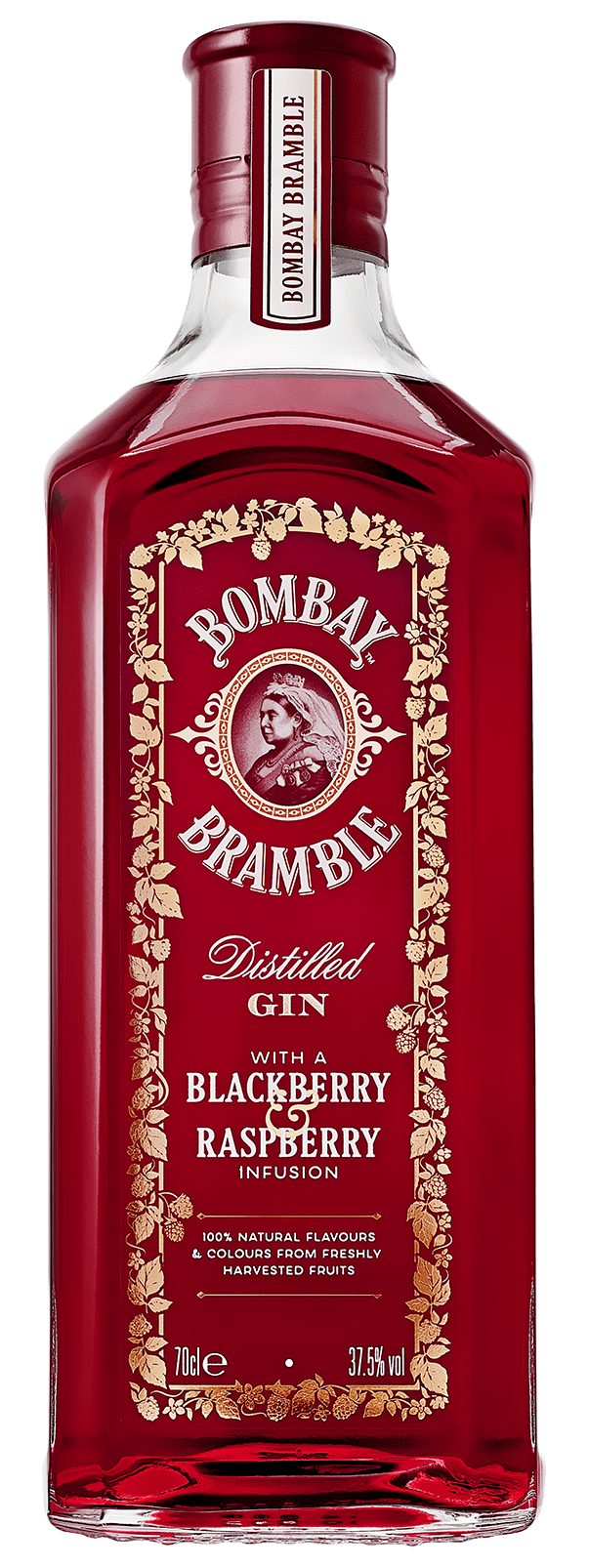 Bombay Sapphire Sunset Gin | Special Edition Gin | Bombay Sapphire