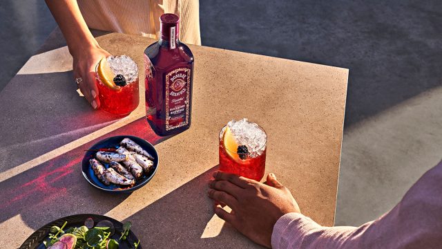 Bombay Bramble | Blackberry and Raspberry Gin